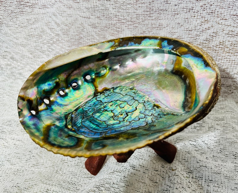 BEAUTIFUL L Abalone Shell Great to Use as a Smudge Bowl - Etsy