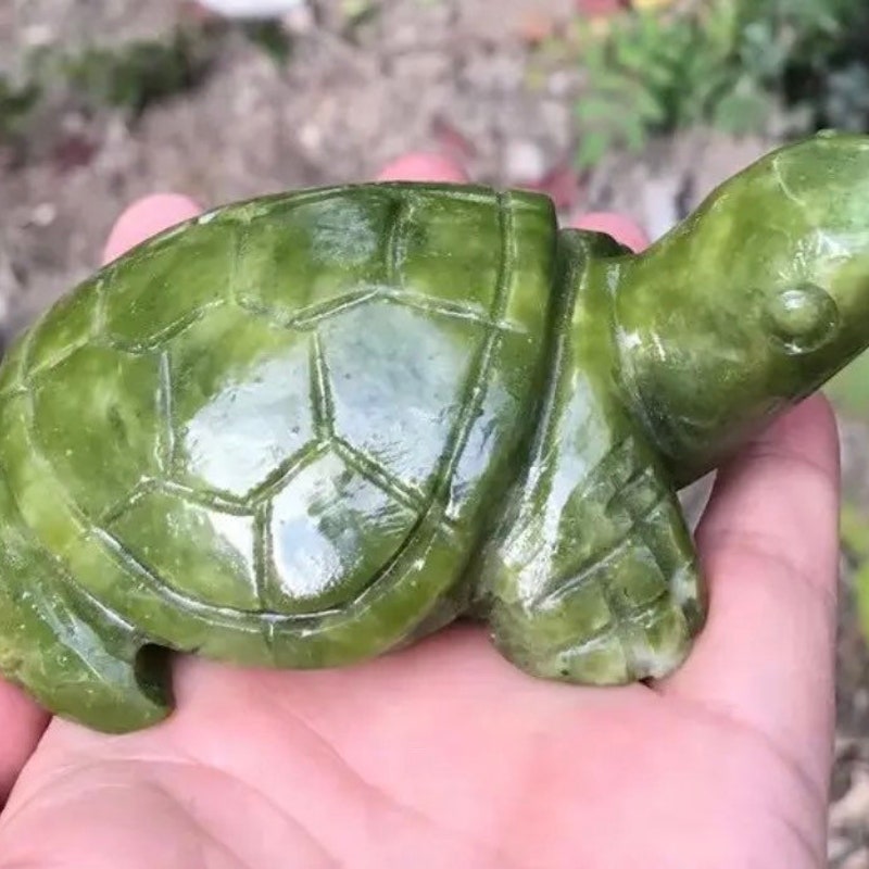 Elephant Turtle - Etsy