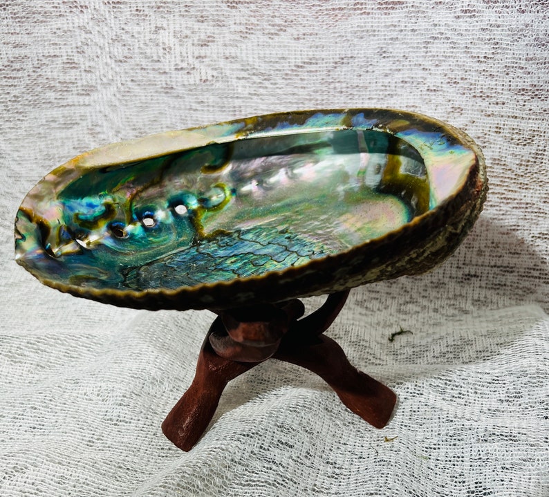 BEAUTIFUL L Abalone Shell Great to Use as a Smudge Bowl - Etsy