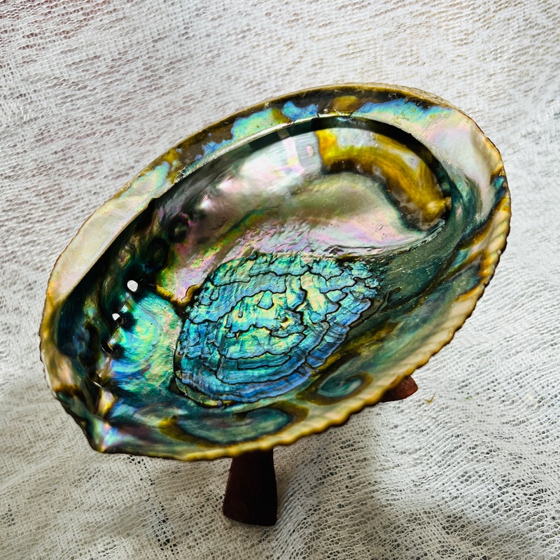 Pottery Shell Bowl - Etsy