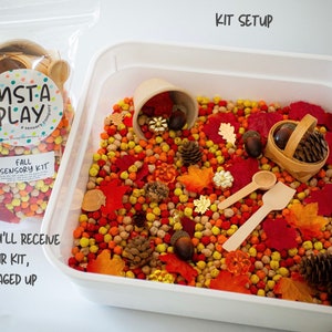Fall Sensory Bin, Fall Play Kit, Autumn Activity for Kids, Sensory Tray ...