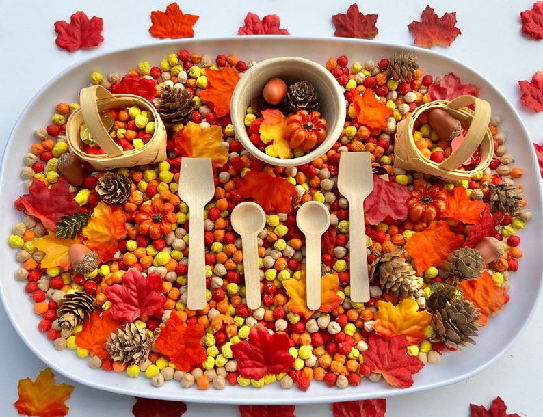 Fall Sensory Bin Autumn Activity for Kids Sensory Tray 3 - Etsy