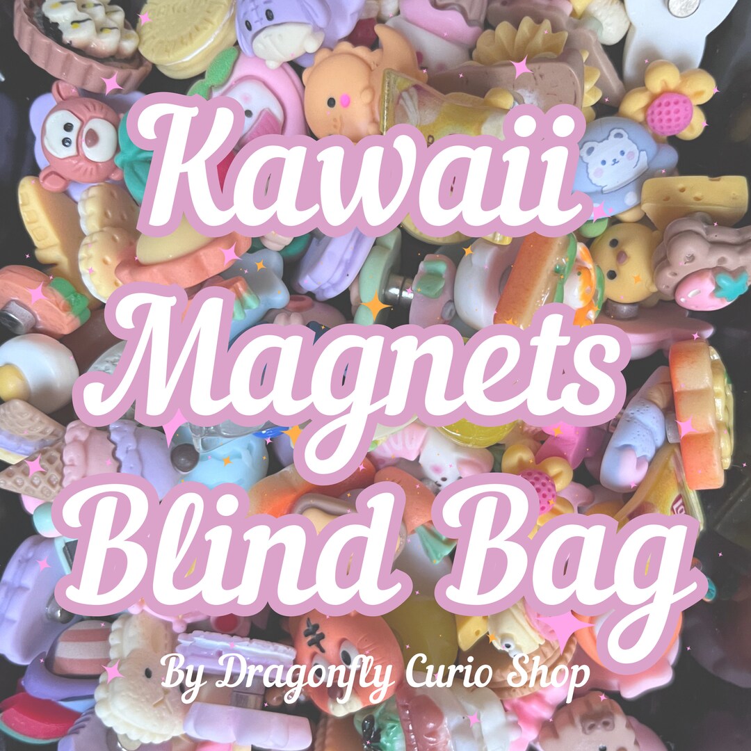 Kawaii Magnets Blind Bag Cute Food Fridge Magnets Suprise Bag - Etsy