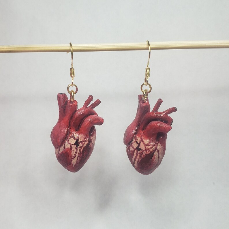 Anatomical Human Heart Earrings - Etsy