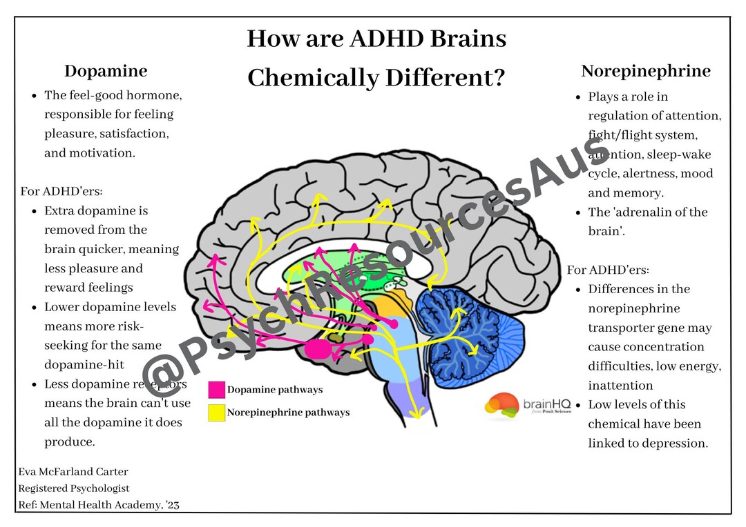 ADHD Resource, Therapy Resource, ADHD Information, Psychoeducation ...