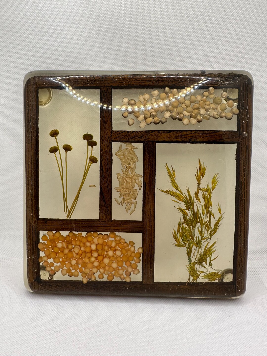 Lucite Trivet Wall Plaque 1970s Decor Grain Flowers Lentils - Etsy