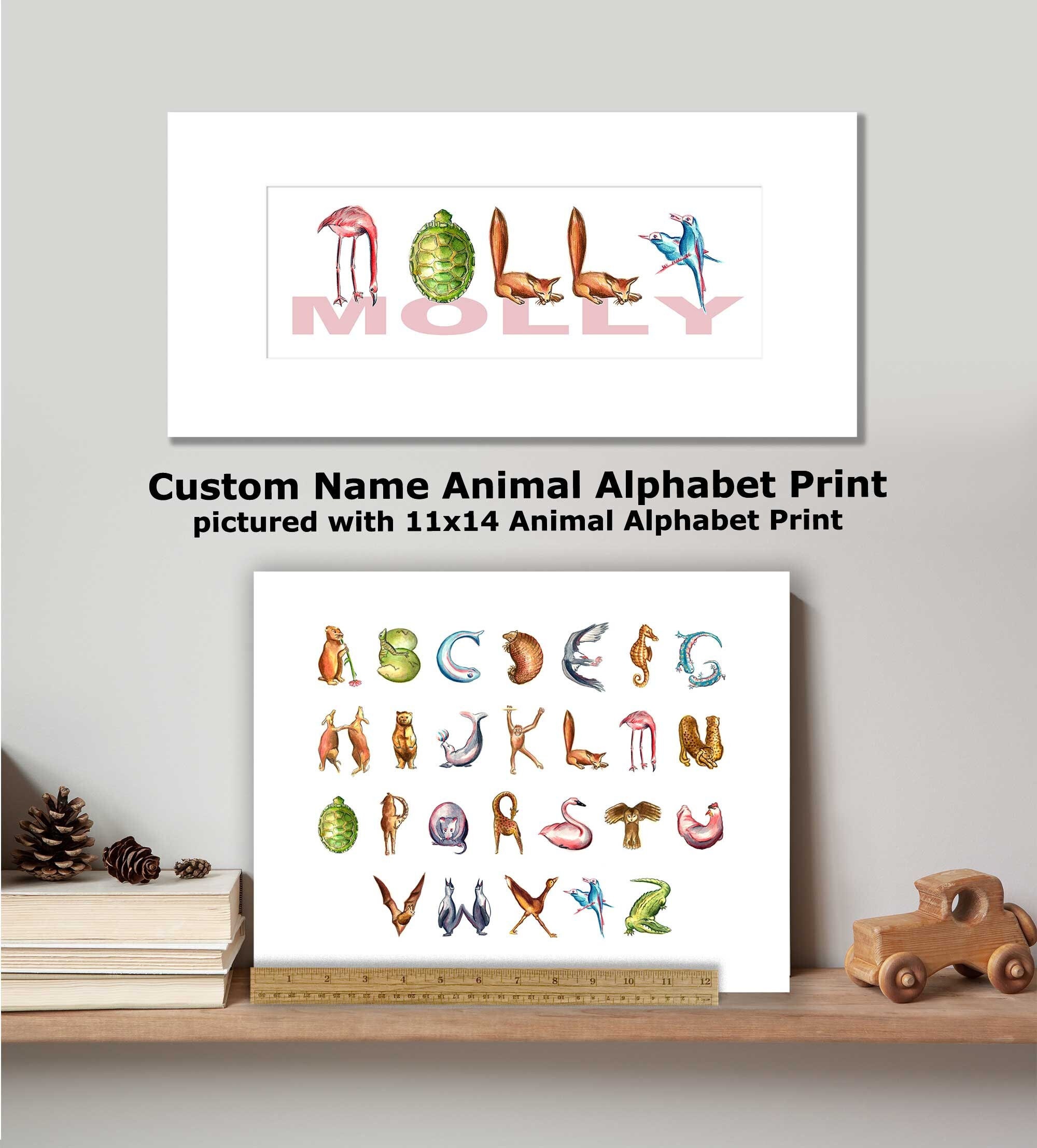 Animal Alphabet Names