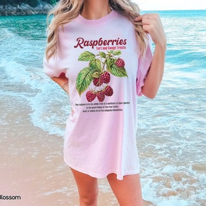 Raspberries Aesthetic Fruit Shirt, Comfort Colors Tshirt, Vintage ...