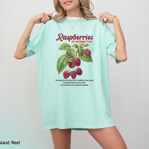 Raspberries Aesthetic Fruit Shirt, Comfort Colors Tshirt, Vintage ...
