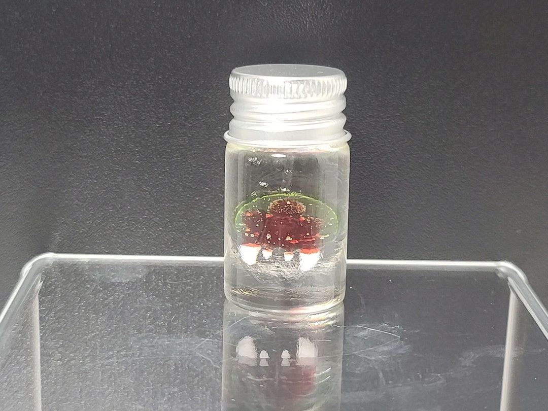 Miniature Metroid Inspired Bottle Charm (frozen Effect) - Mini Metroid ...