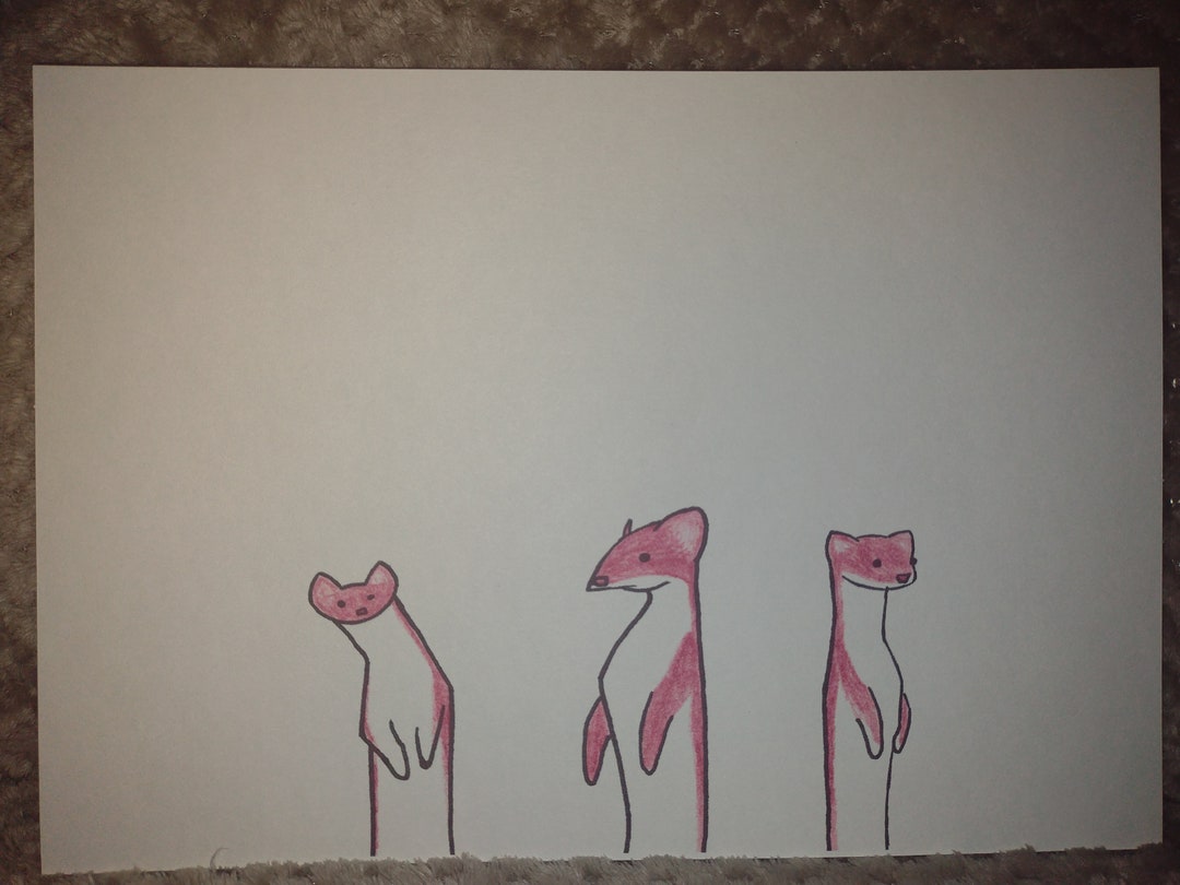 Weasel Drawing Simple Minimalist A4 - Etsy