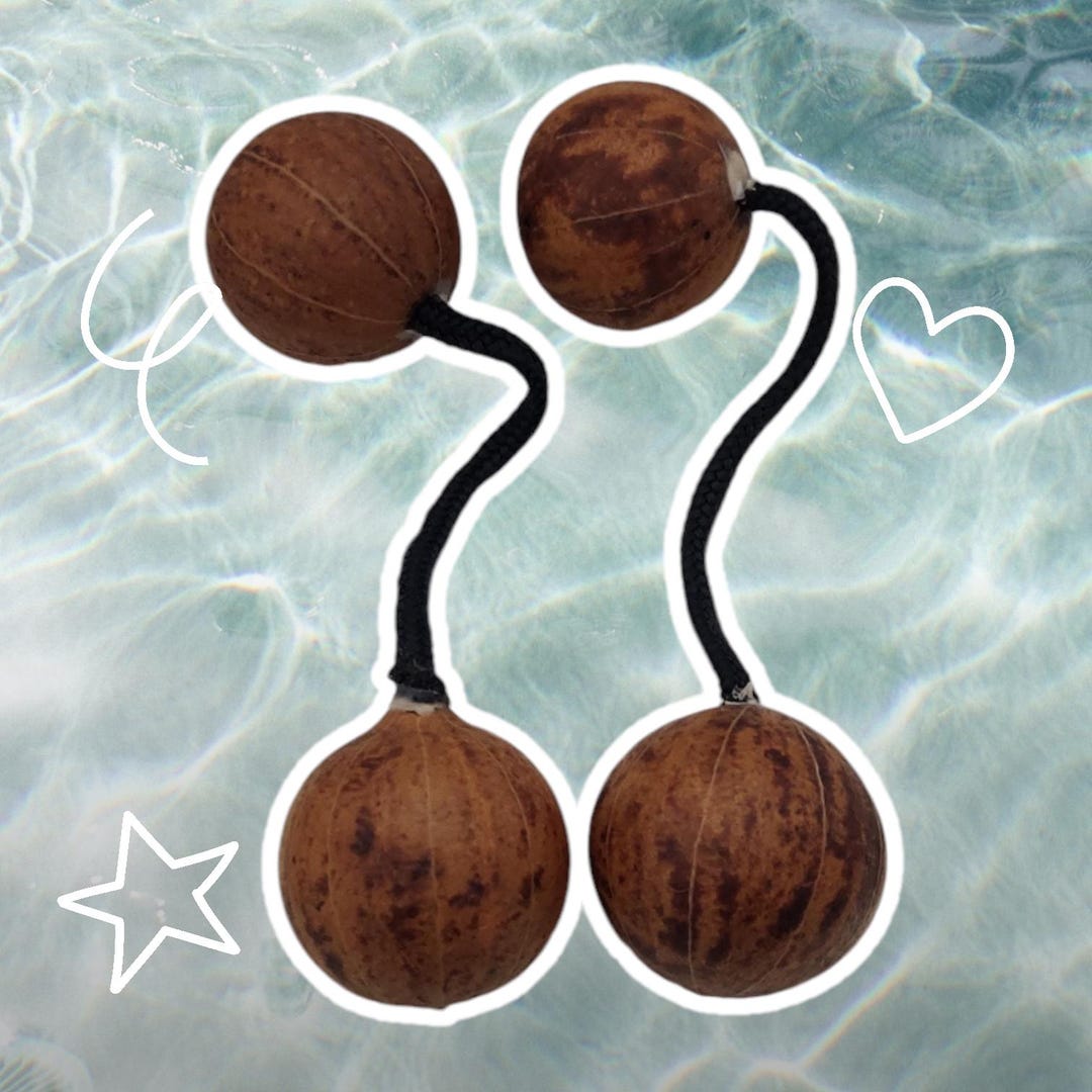 Musical Shakers set of 2 Asalato Percussion slight Imperfections - Etsy