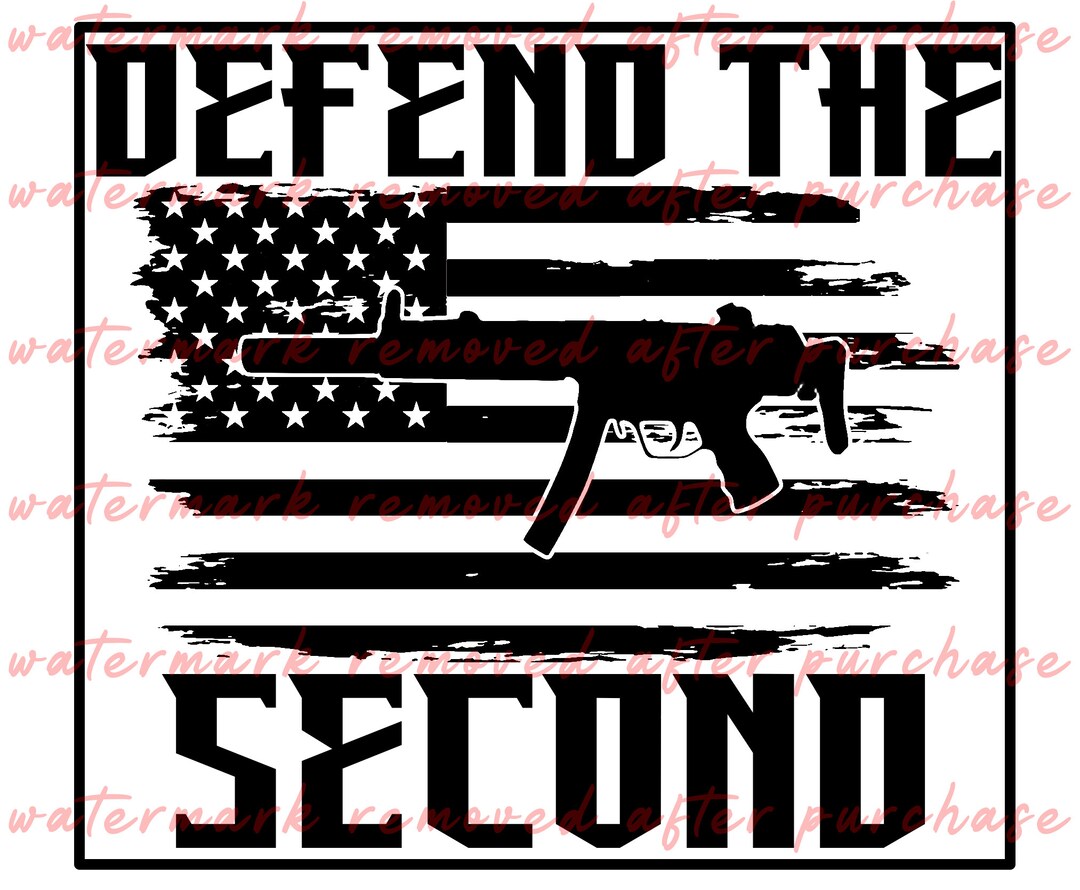 Defend the Second Decal - Etsy