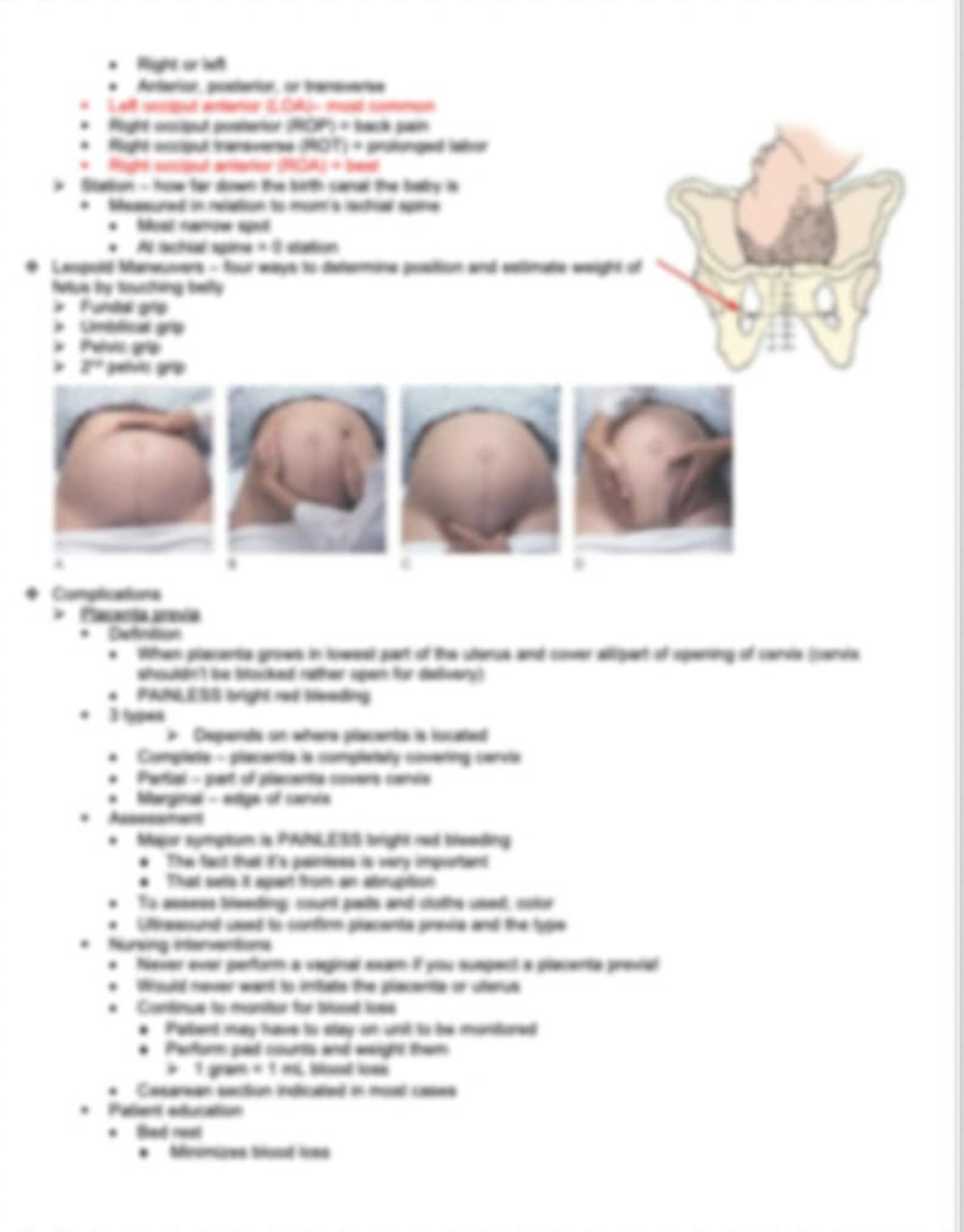 NCLEX Archer Lectures - Etsy