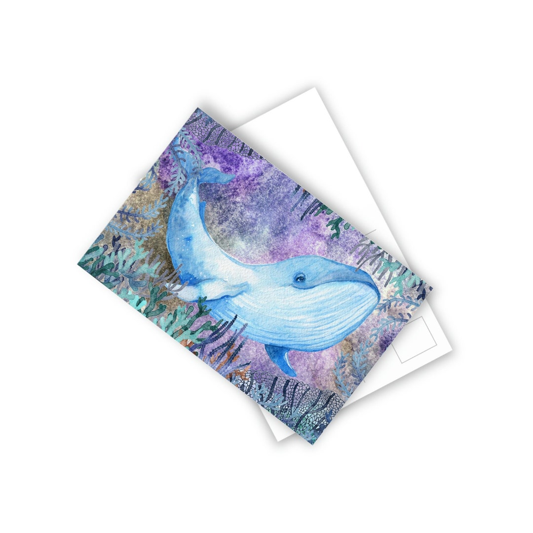 Beautiful Whale Postcards 10 Pack Surprise Friends or Family - Etsy