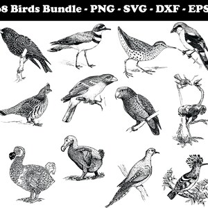 Bird SVG Bundle, Birds SVG, SVG Files for Cricut, Instant Download ...