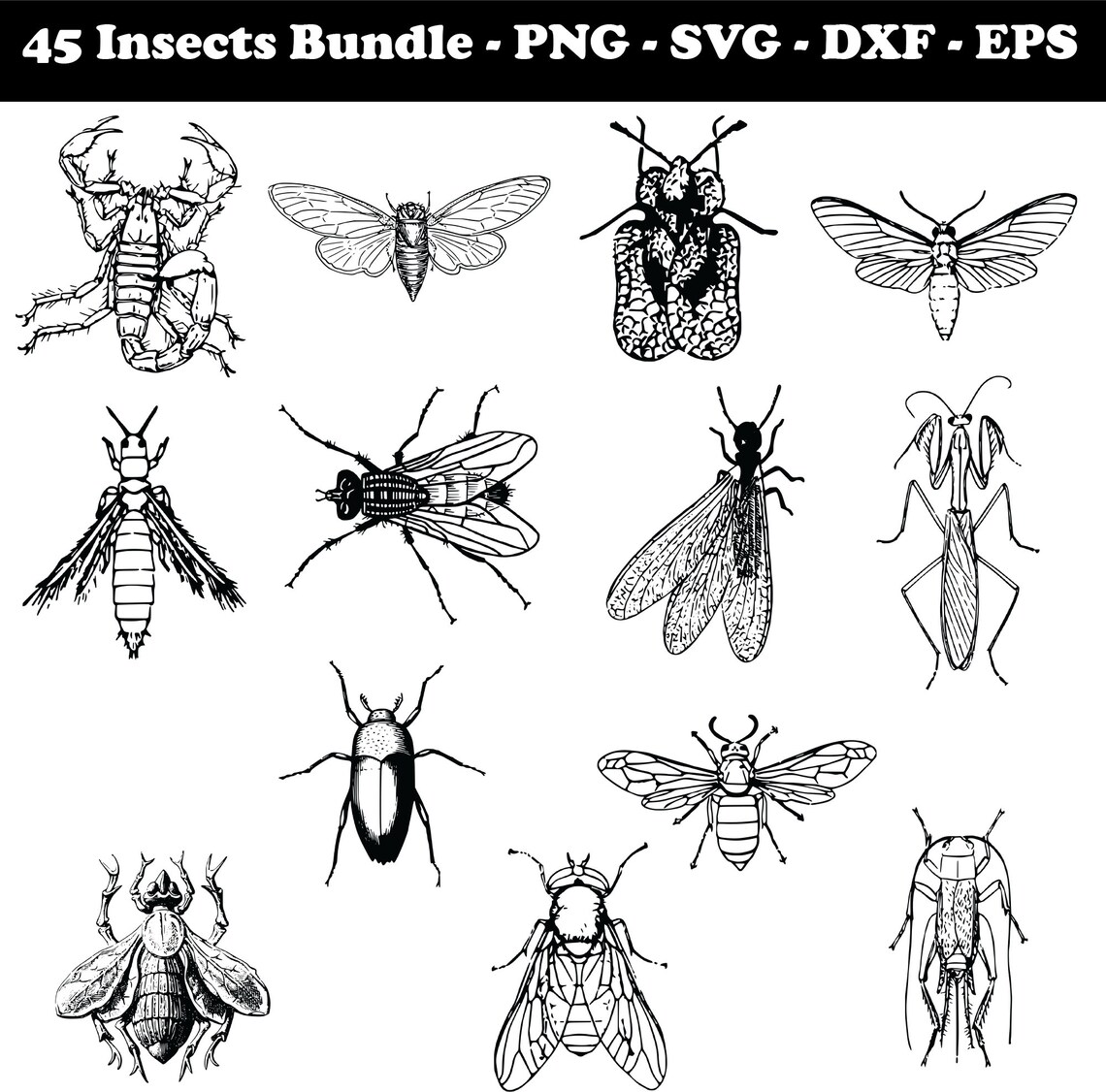 Insect SVG Bundle, Insect SVG, SVG Files for Cricut, Bug Design ...