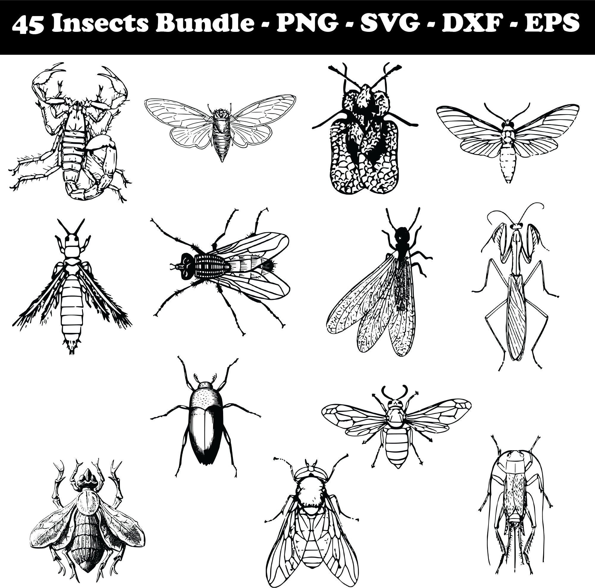 Insect SVG Bundle, Insect SVG, SVG Files for Cricut, Bug Design ...