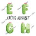 Cactus Alphabets and Numbers Clipart, Cactus Alphabet, Succulent Font ...
