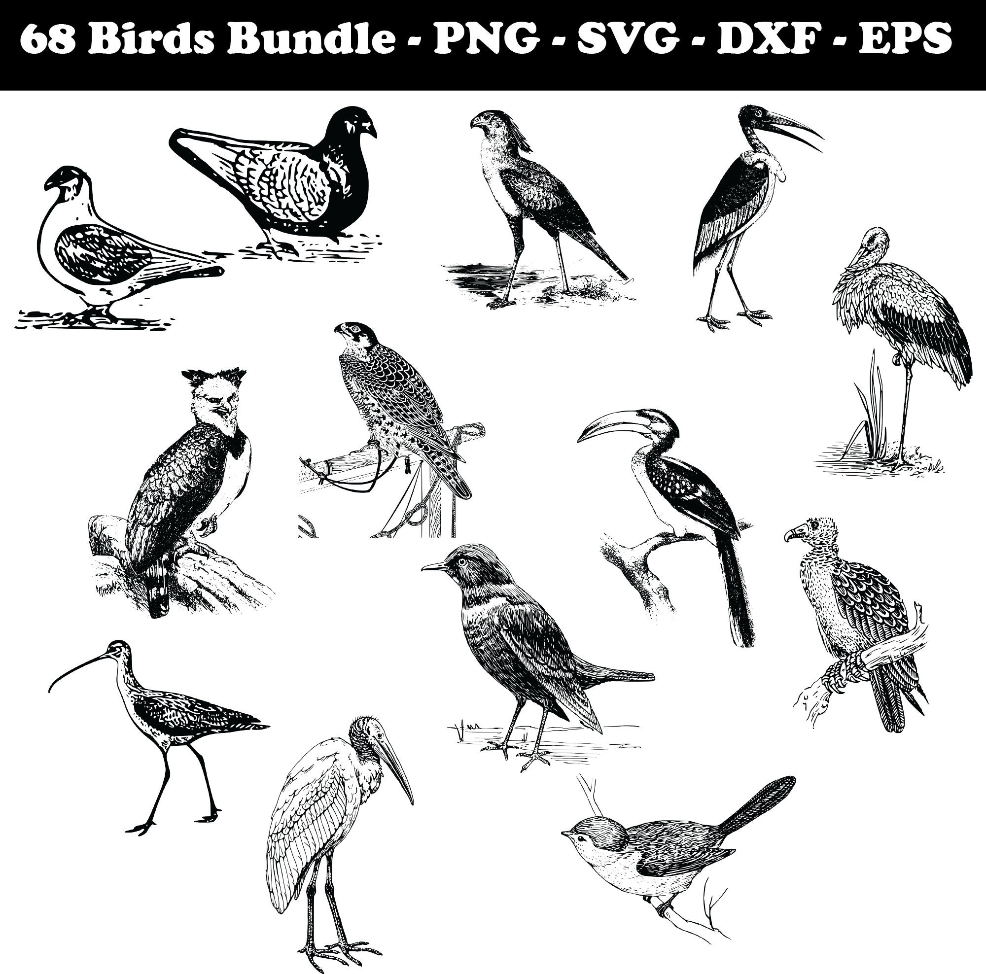 Bird SVG Bundle, Birds SVG, SVG Files for Cricut, Instant Download ...