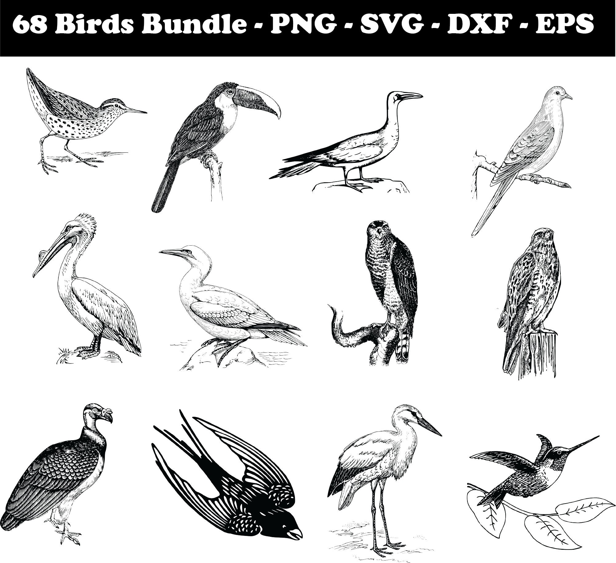 Bird SVG Bundle, Birds SVG, SVG Files for Cricut, Instant Download ...