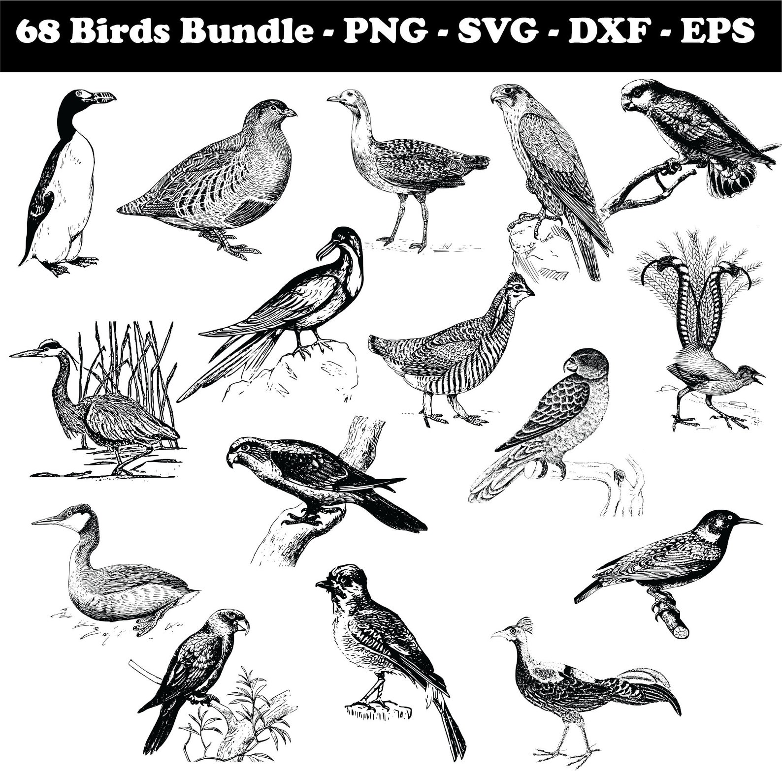 Bird SVG Bundle, Birds SVG, SVG Files for Cricut, Instant Download ...