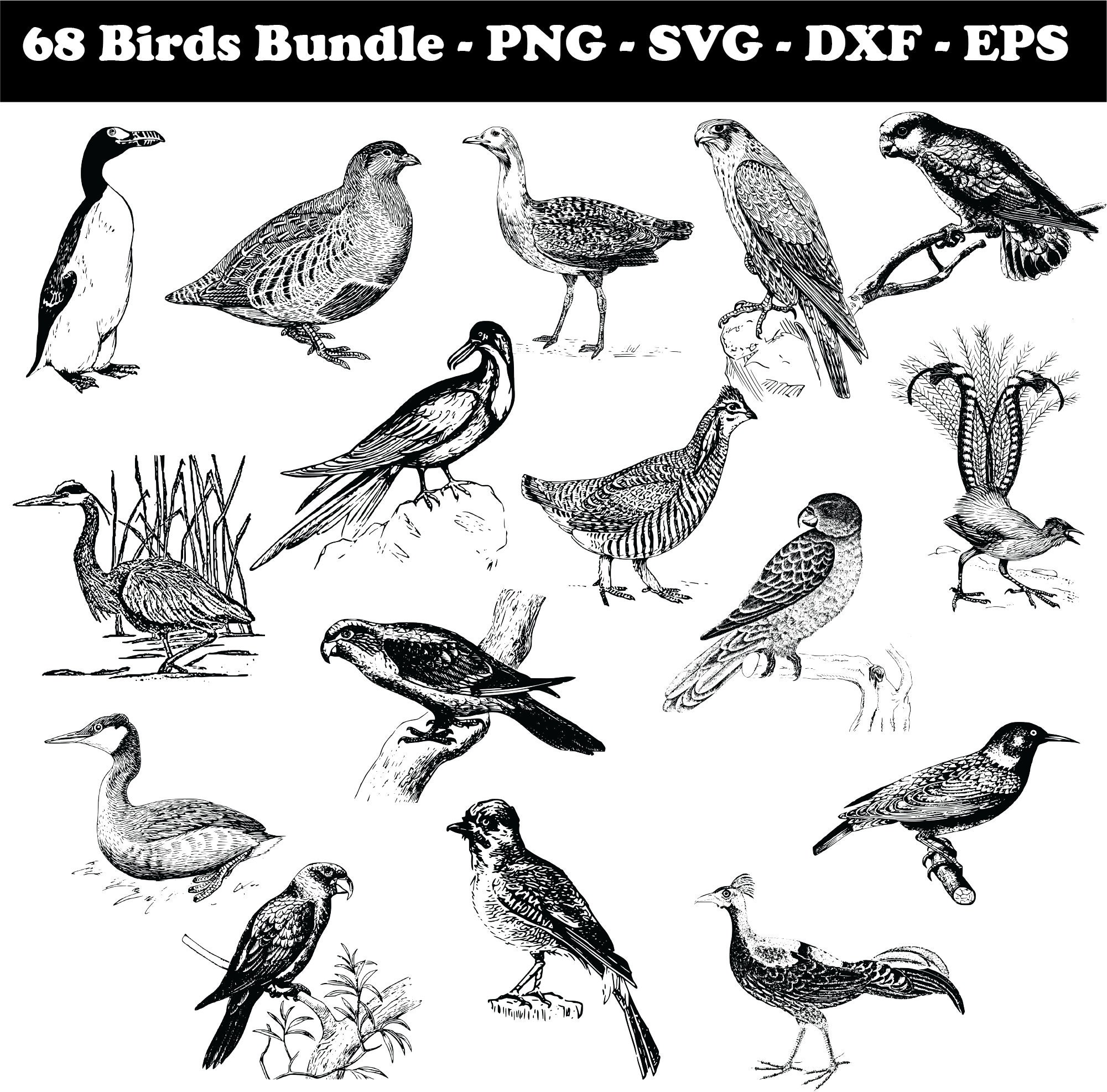 Bird SVG Bundle, Birds SVG, SVG Files for Cricut, Instant Download ...