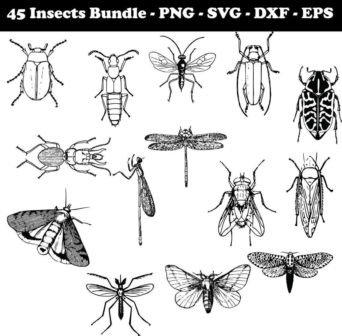 Insect SVG Bundle, Insect SVG, SVG Files for Cricut, Bug Design ...