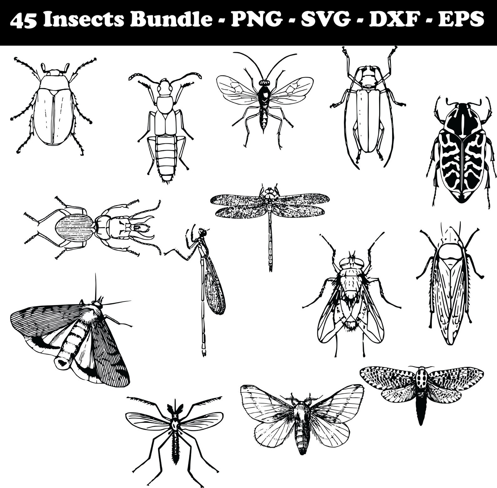 Insect SVG Bundle, Insect SVG, SVG Files for Cricut, Bug Design ...