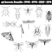 Insect SVG Bundle, Insect SVG, SVG Files for Cricut, Bug Design ...