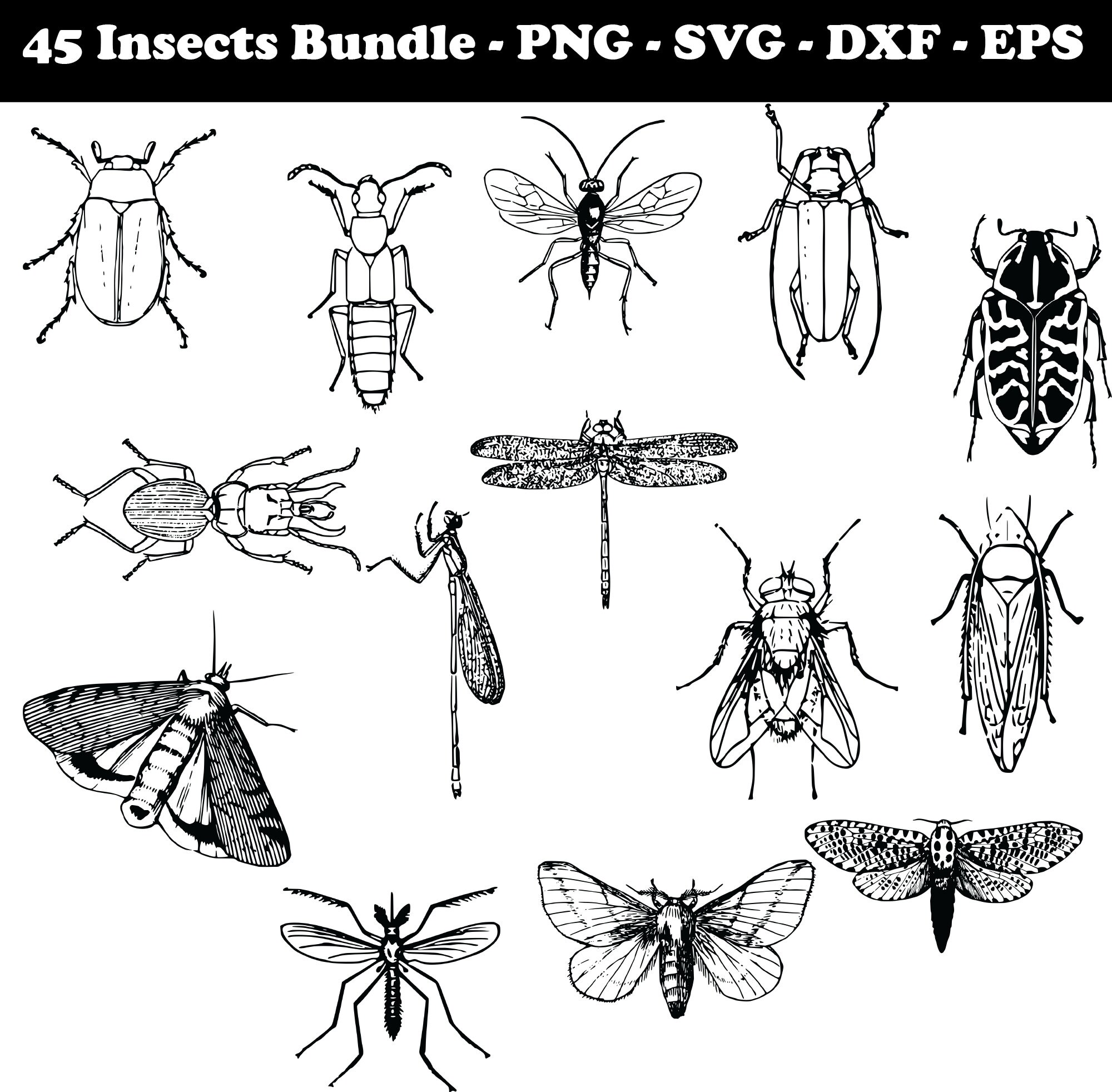 Insect SVG Bundle, Insect SVG, SVG Files for Cricut, Bug Design ...