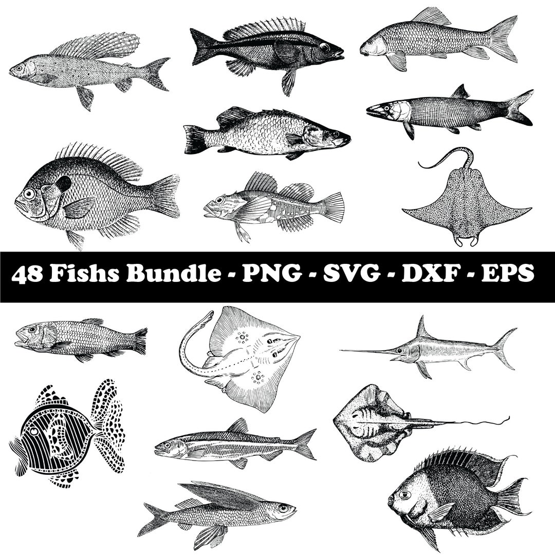 Fish SVG Bundle, Fish SVG, SVG Files for Cricut, Fish Design, Digital ...