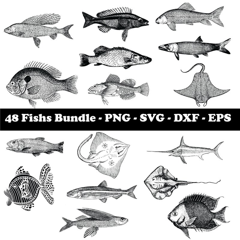 Fish Svg - Etsy