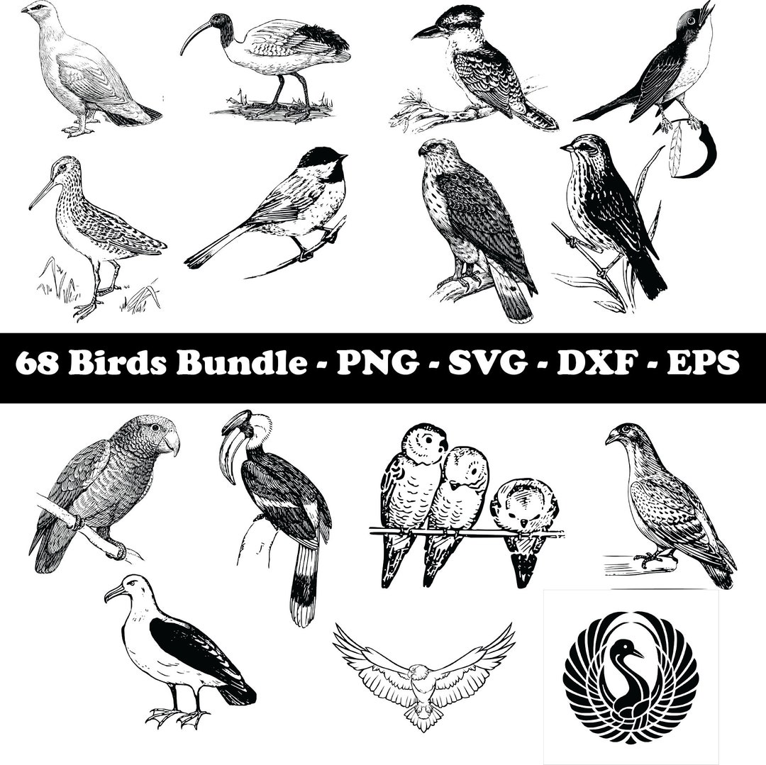 Bird SVG Bundle, Birds SVG, SVG Files for Cricut, Instant Download ...