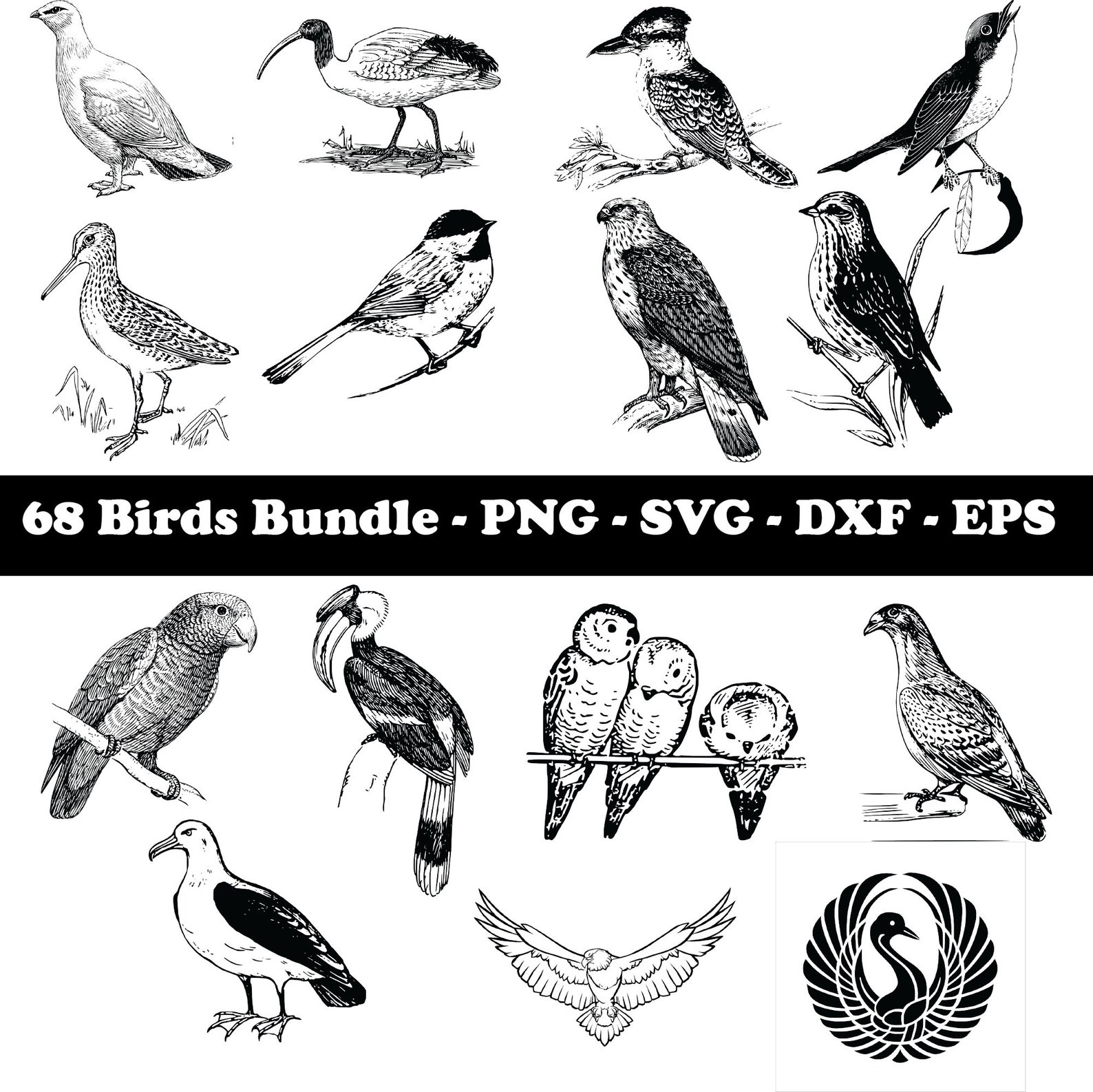 Bird SVG Bundle, Birds SVG, SVG Files for Cricut, Instant Download ...