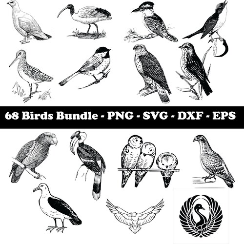 Bird SVG Bundle Birds SVG SVG Files for Cricut Instant - Etsy