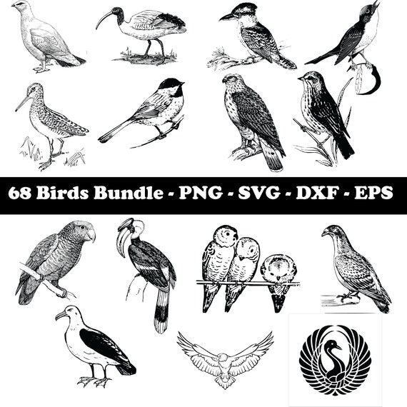 Bird SVG Bundle Birds SVG SVG Files for Cricut Instant | Etsy