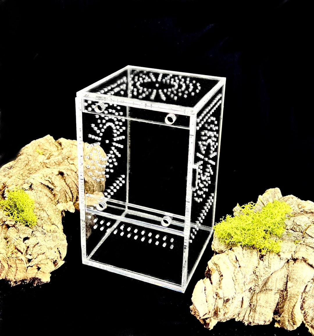 NEW Small Luxury Enclosure for Jumping Spider Slings, Tarantulas ...