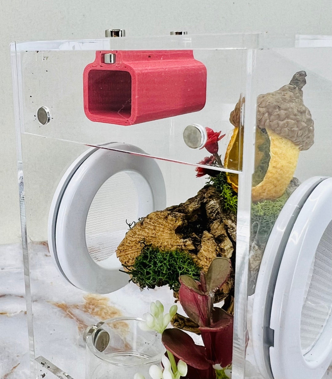 Mini Magnetic Rectangle Hide, for Jumping Spider and Tarantula Slings ...