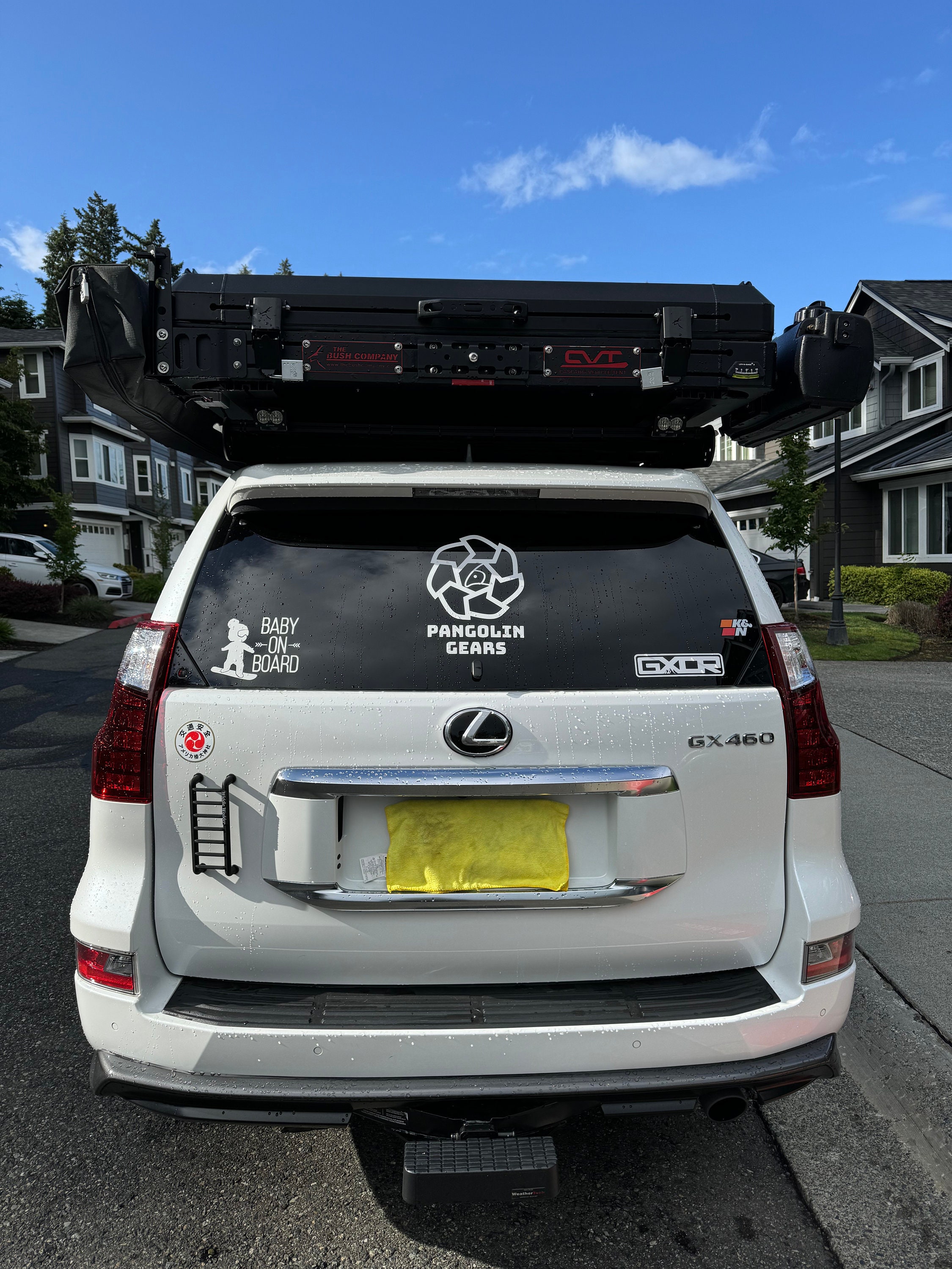 The Widdle Wadder little Ladder - Etsy