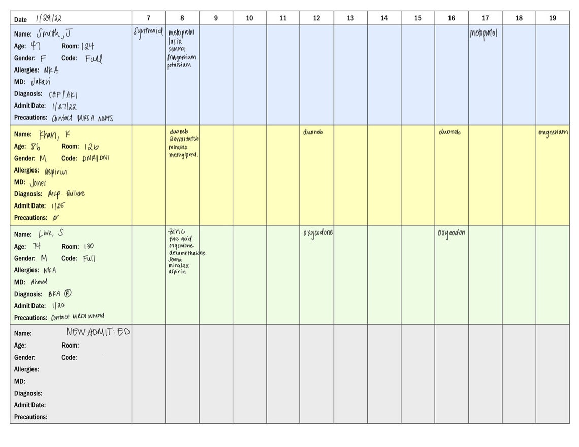 4 Patient Blank Horizontal Report Sheet/brain. Color Coordinated and ...