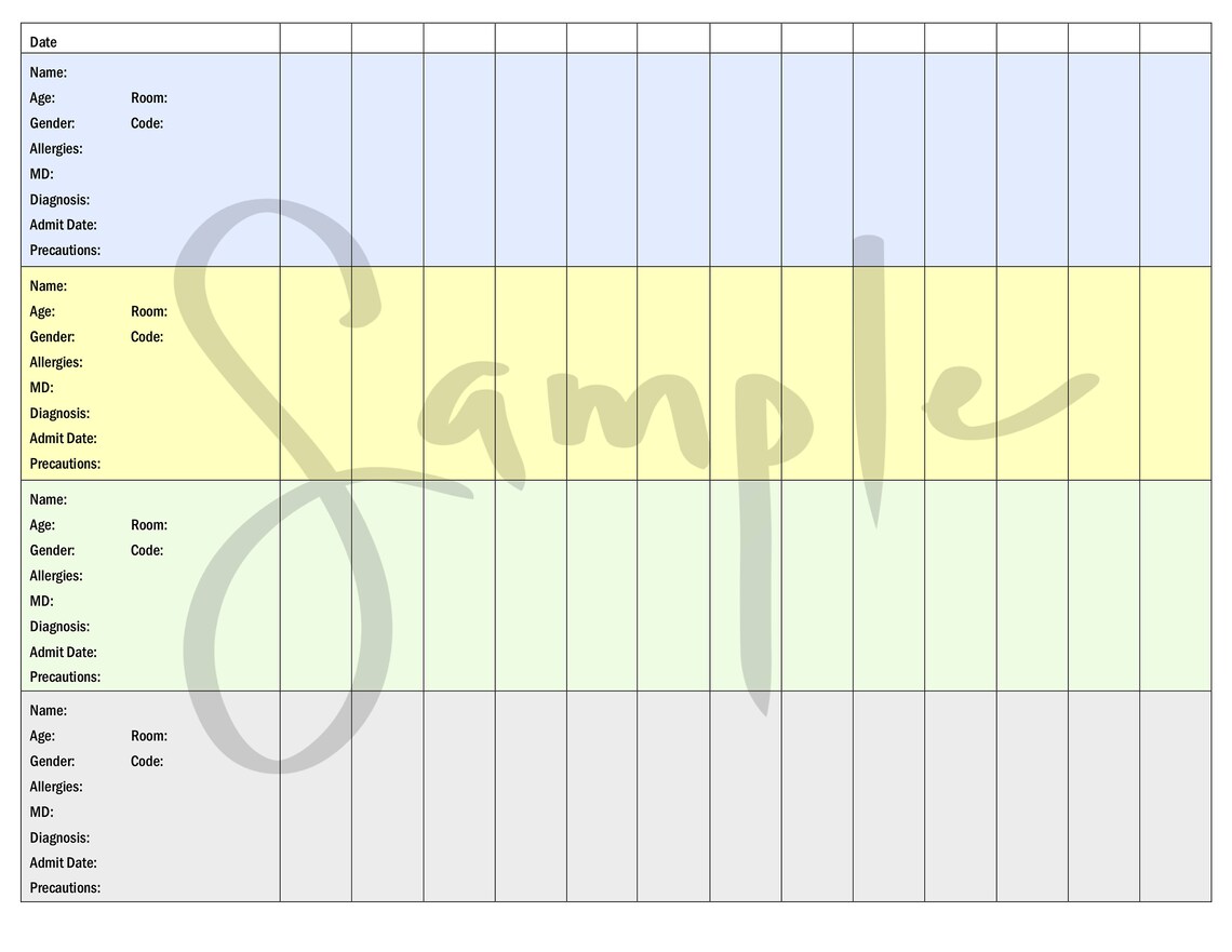 4 Patient Blank Horizontal Report Sheet/brain. Color Coordinated and ...