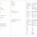 4 Patient Blank Horizontal Report Sheet/brain. Color Coordinated and ...