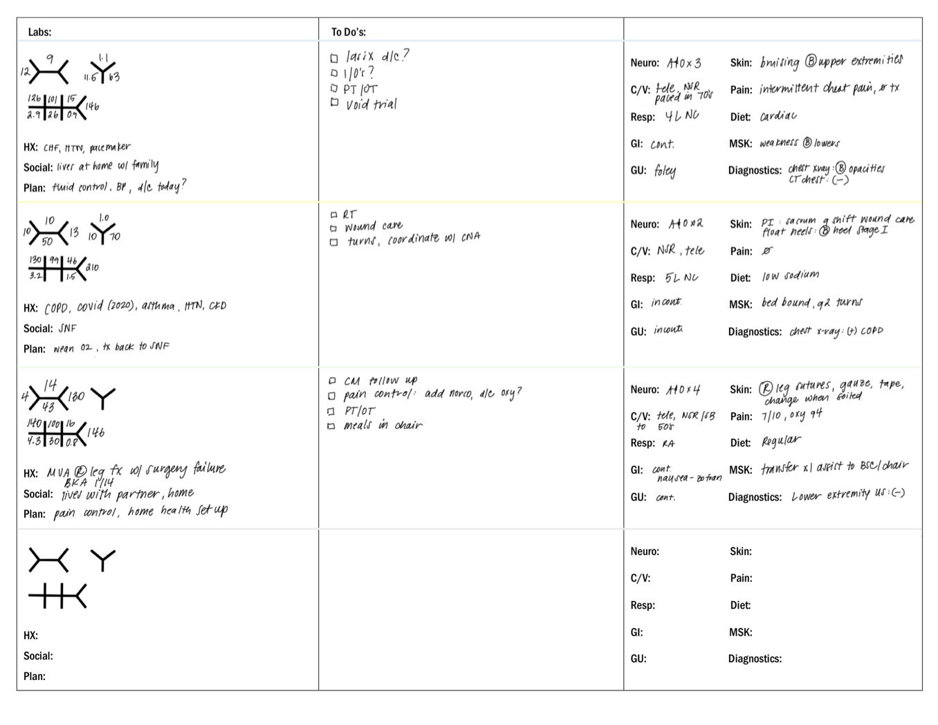 4 Patient Blank Horizontal Report Sheet/brain. Color Coordinated and ...