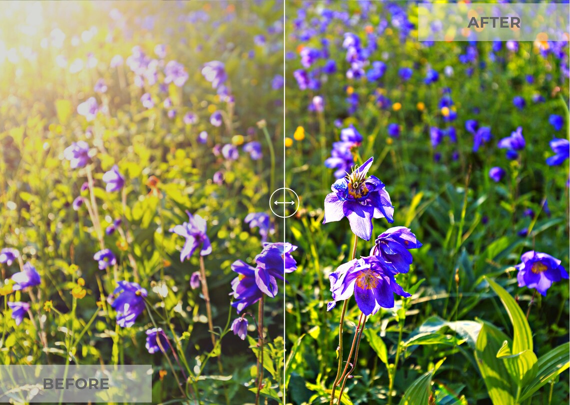 Spring Lightroom Presets: Natural Vibrant Photo Effects (30 Desktop ...