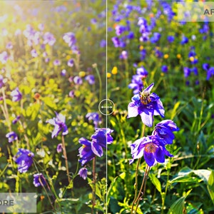 Spring Lightroom Presets: Natural Vibrant Photo Effects (30 Desktop ...