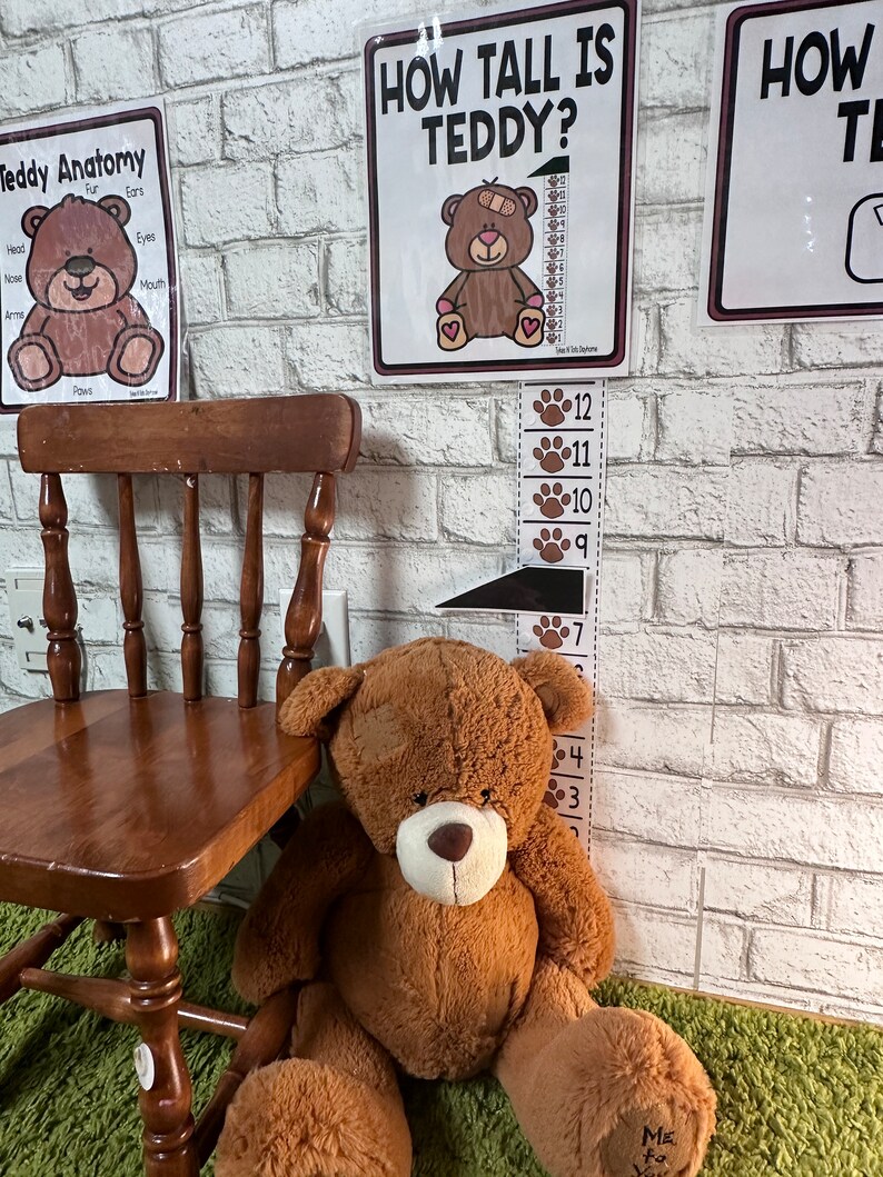 Teddy Bear Hospital Dramatic Play - Etsy