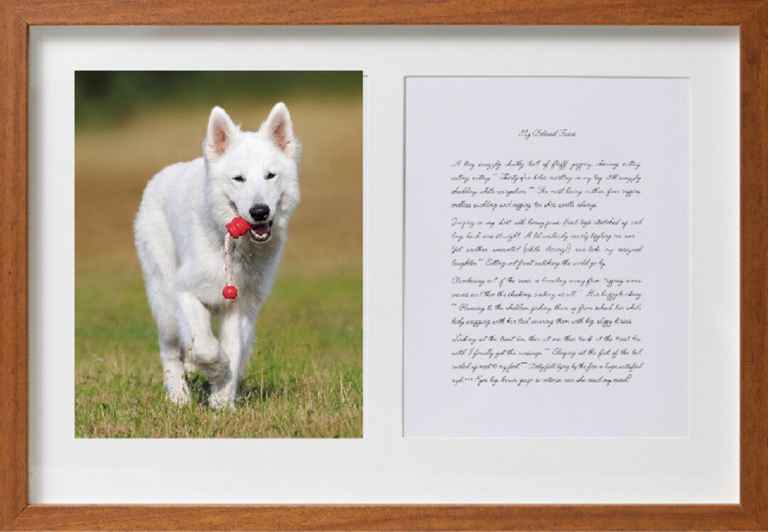 Custom Pet Memorial W/eulogy | Prints Only - Etsy