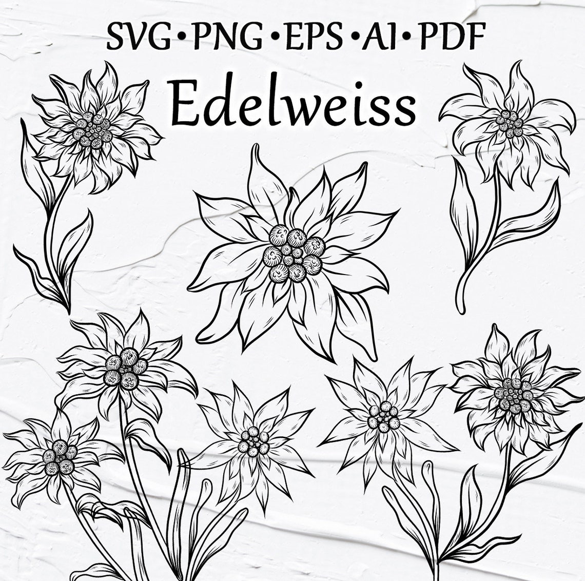Edelweiss SVG Clipart, Vector Edelweiss Clipart, Alpine Flowers, Floral ...