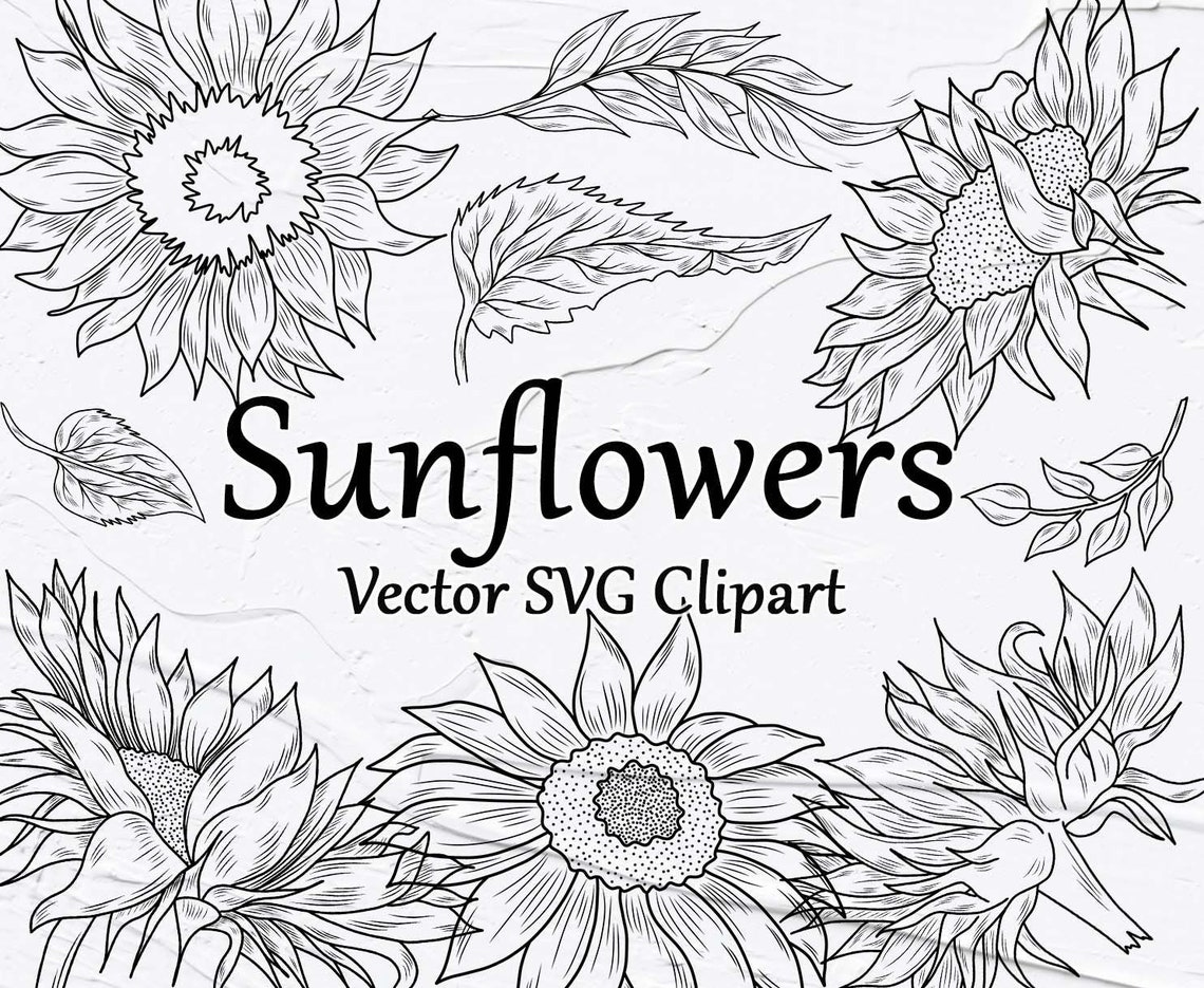 Sunflower SVG Clipart. Spring Outline Vector Clipart. Floral Svg ...